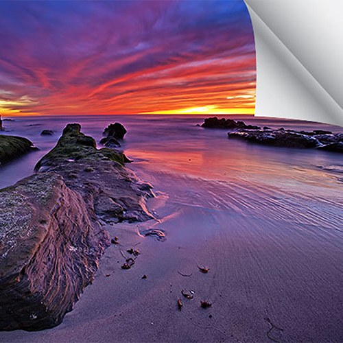 Magic DMIBOP 11mil Matte Coated Wet Strength Paper - 50" x 125' Roll ...